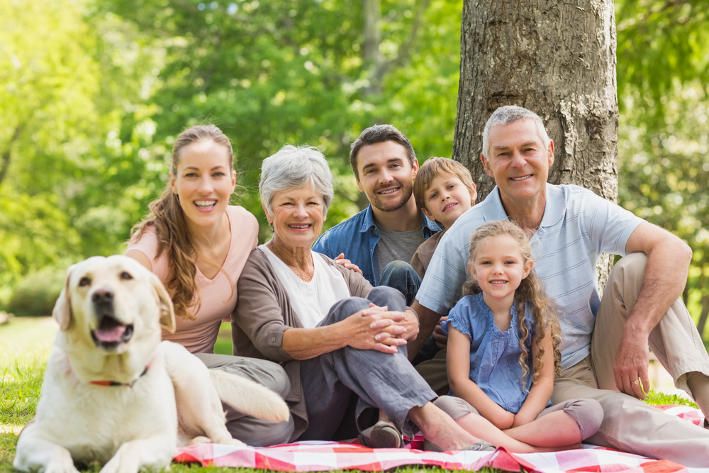 Building Your Family Story with Storied: A Revolutionary Platform for ...